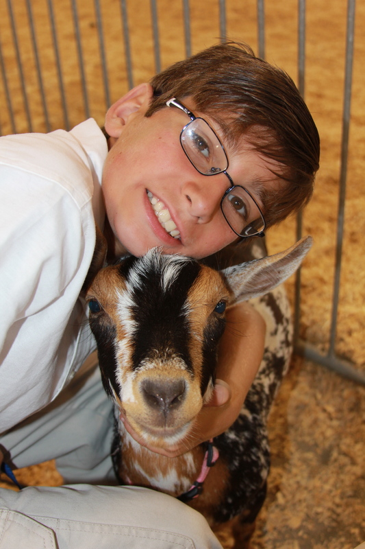Cape kids put together good showing at fair | Cape Gazette