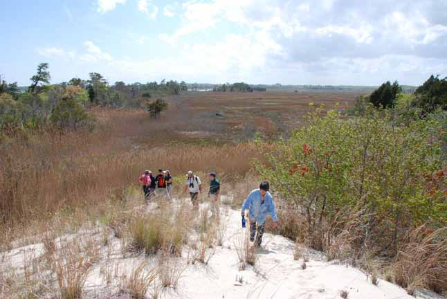 Gordons Pond trail plan rolls ahead | Cape Gazette