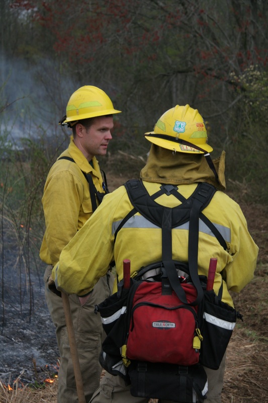 Delaware Forest Service urges common-sense precautions to lessen fire ...