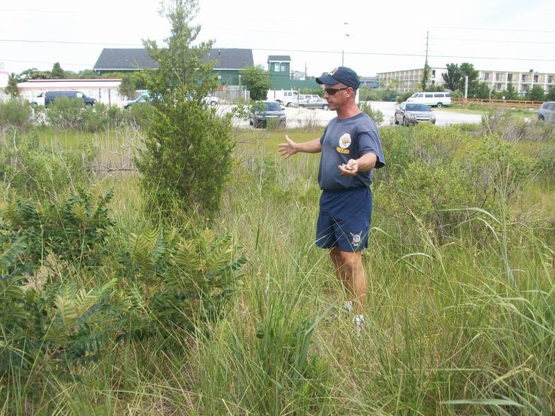 Dewey Lions, Envirotech clean up wetlands | Cape Gazette