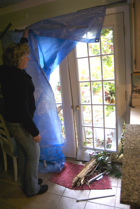 Hurricane fells trees in Rolling Meadows | Cape Gazette