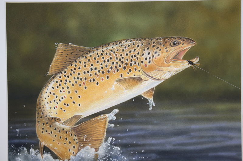 2014 Delaware Waterfowl and Trout Stamp winner announced | Cape Gazette