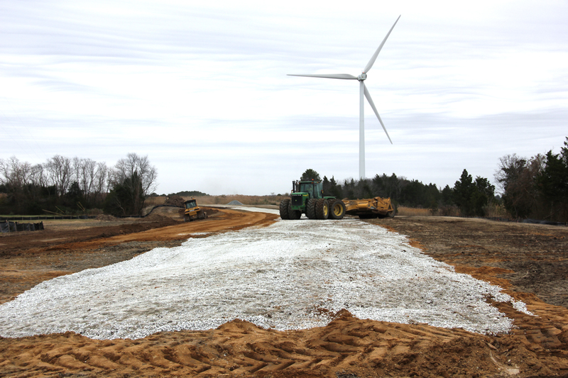 Of bats and birds and the wind turbine in Lewes | Cape Gazette