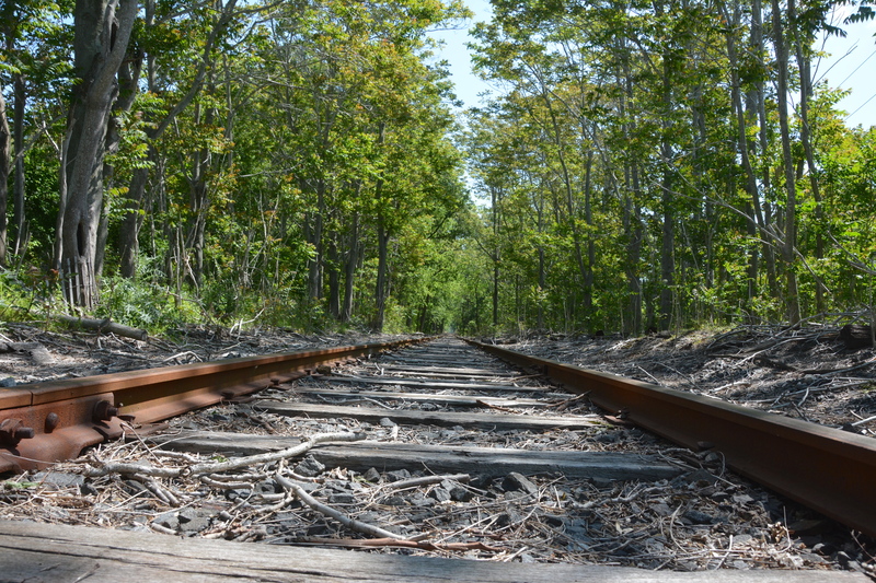 First phase of rail trail is in Lewes | Cape Gazette