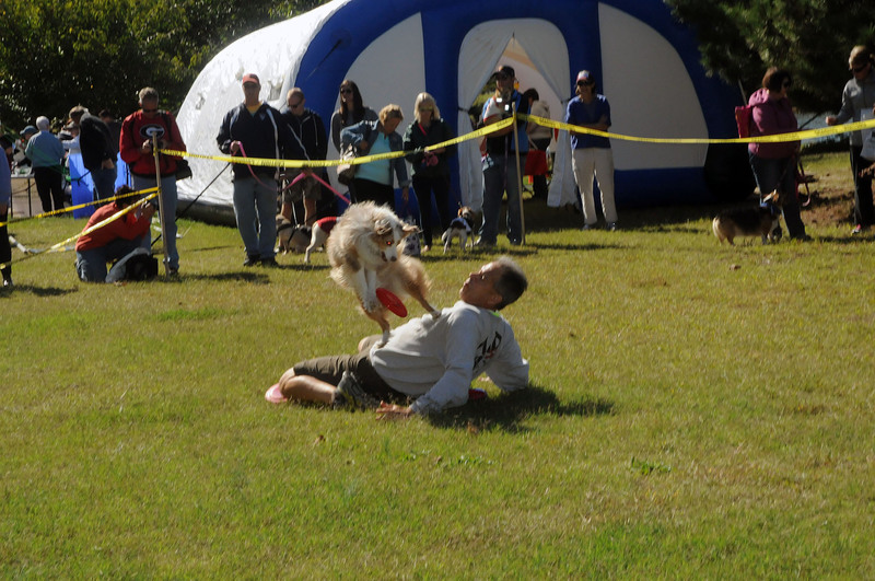 Delaware SPCA holds Bark on the Boards Walk | Cape Gazette