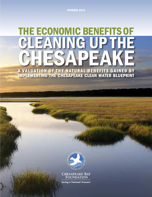 Report: Chesapeake clean-up would be $22 billion boon to economy | Cape ...