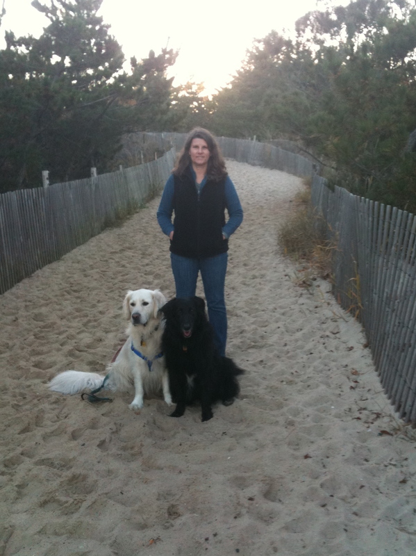 Biblion and Serenity Sole Massage make holidays more relaxing | Cape ...