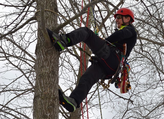 Delaware arborist seminar set March 3, 4 | Cape Gazette