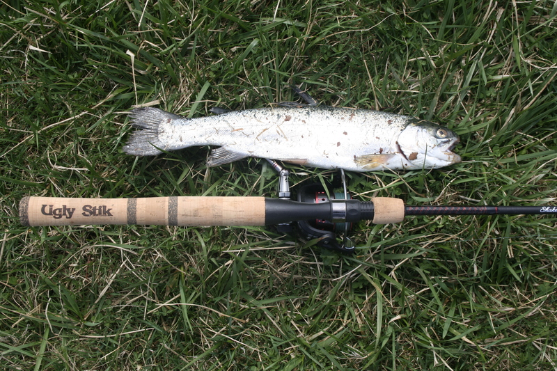 Dunce of the class saves upstate trout fishing trip | Cape Gazette