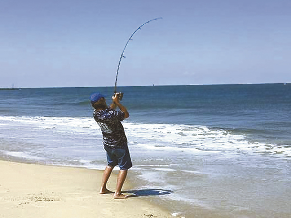 Wham.Fish on Cape Gazette