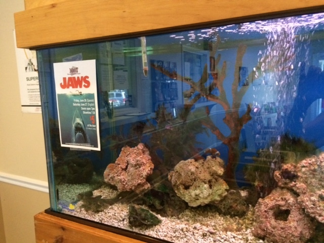 'Casablanca' to show at Movies at Riverfront Theater July 24, 25 | Cape ...