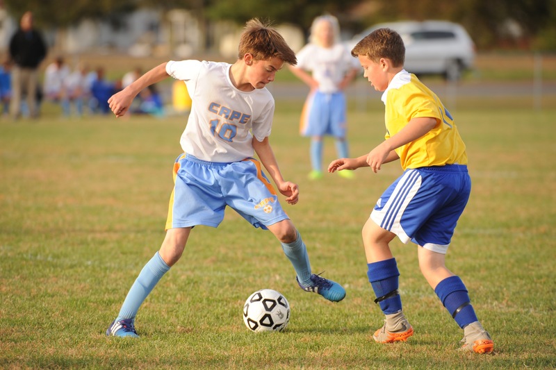 Mark D’Ambrogi and Jack Lingo flip lacrosse coaching roles again | Cape ...