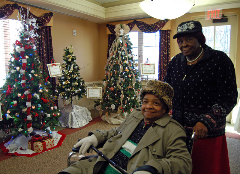 Delaware Hospice Festival of Trees lights up the night | Cape Gazette