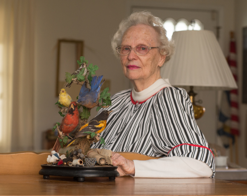 Mounted birds and gratitude for an icy December rescue | Cape Gazette