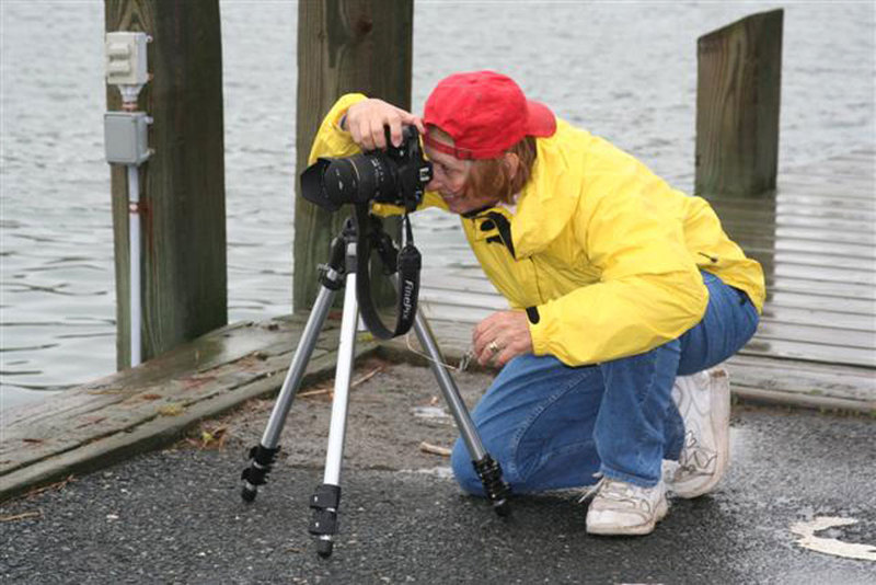 Milton Arts Guild to host still life photography class Jan. 20 | Cape ...