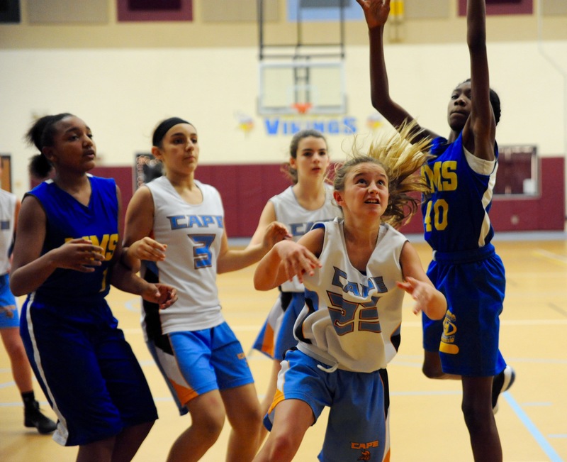 Title IX released the fillies from the stable of pent-up aggression ...