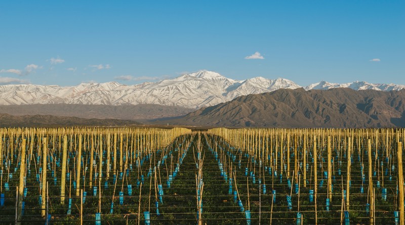 Argentina Meets Brazil | Cape Gazette