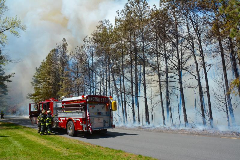 House fire sets marsh, woods on fire | Cape Gazette