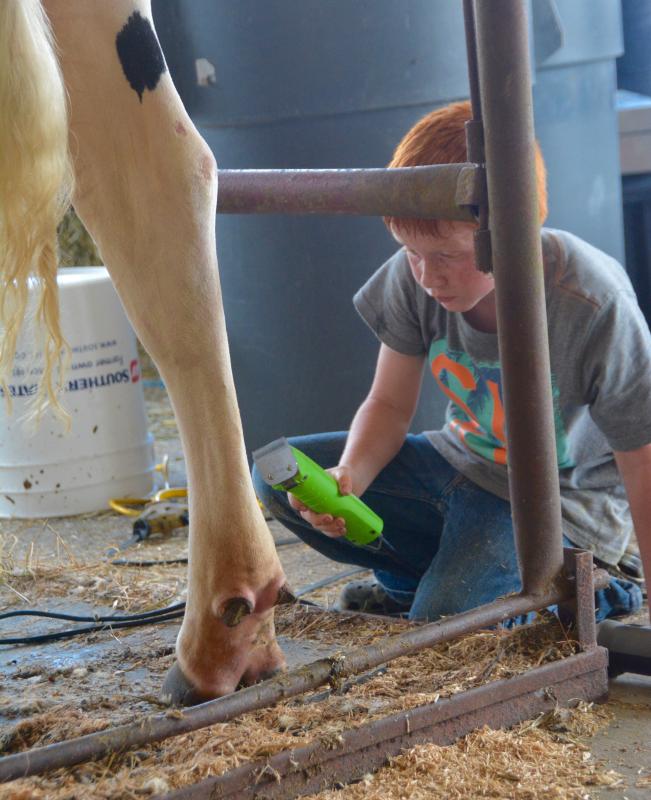 It’s always a hot time at Delaware State Fair | Cape Gazette