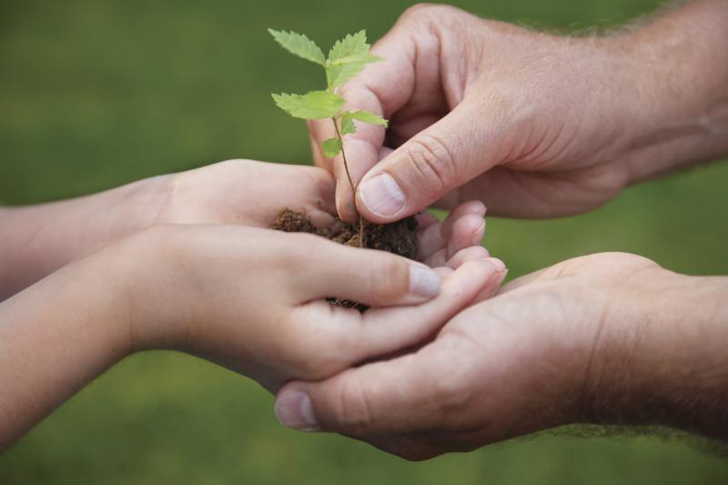 Easy ways to live more sustainably | Cape Gazette