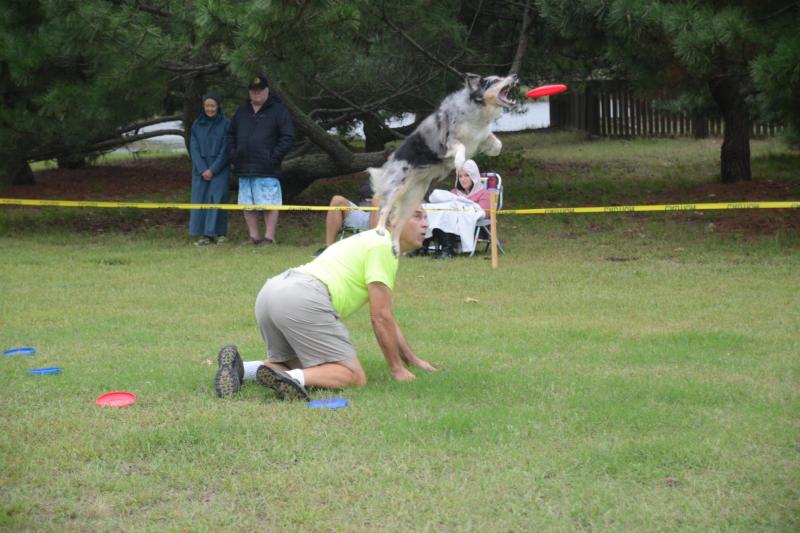 SPCA holds Bark on the Boards fundraiser in Rehoboth | Cape Gazette