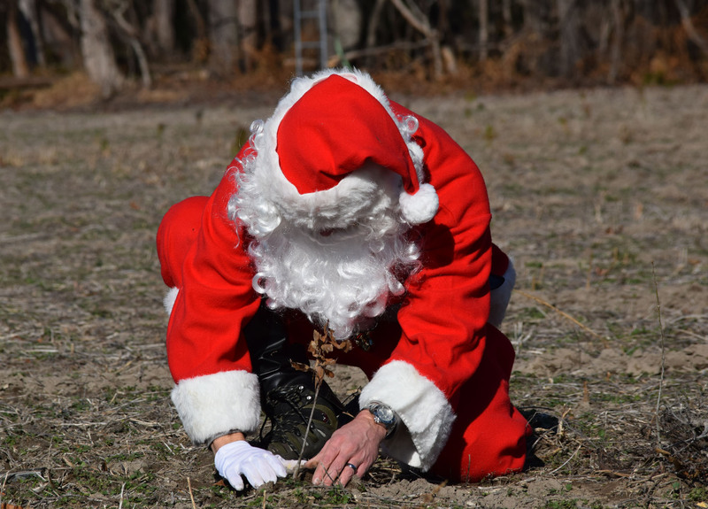 Santa steps in to help seedlings | Cape Gazette