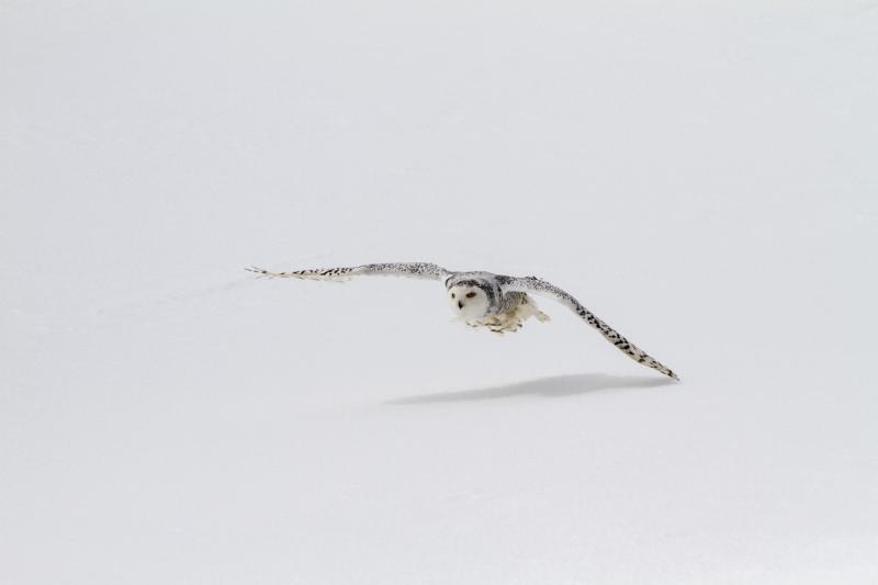 ‘Seasons’ documentary to open at Cinema Art Theater Dec. 9 | Cape Gazette