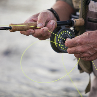 Spring 2017 trout stocking and opening for downstate ponds | Cape Gazette