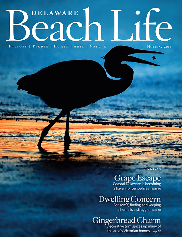 Delaware Beach Life wins eight first-place awards in statewide ...