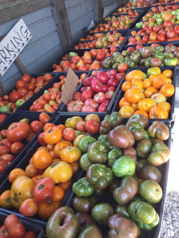 SoDel Concepts participates in NASA's Tomatosphere III Project | Cape ...