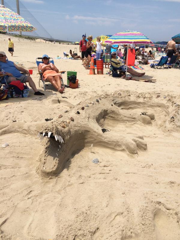 Sandcastle contest at Delaware Seashore State Park set July 8 | Cape ...