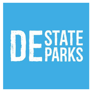 Camping growing in popularity at Delaware State Parks | Cape Gazette