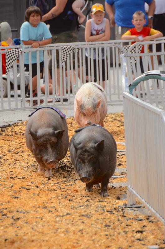 Delaware State Fair nears the century mark | Cape Gazette
