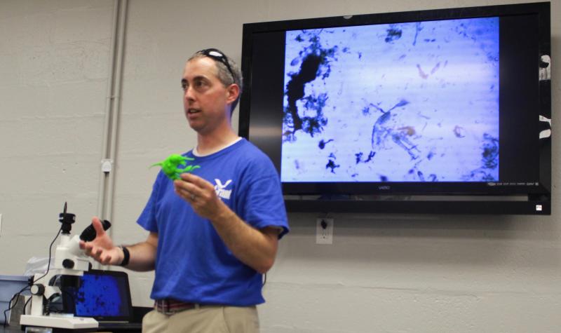 Rehoboth tour company exposes what’s under our noses | Cape Gazette