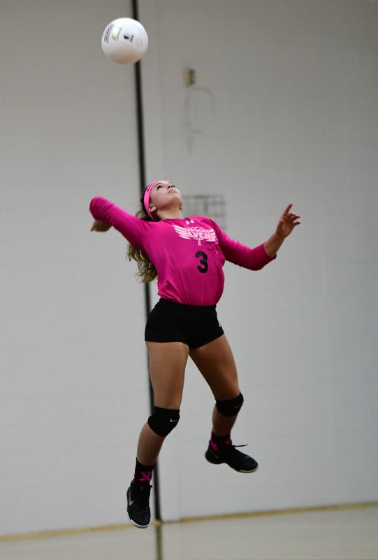 Vikings volleyball grounds the Ravens 3-0 | Cape Gazette