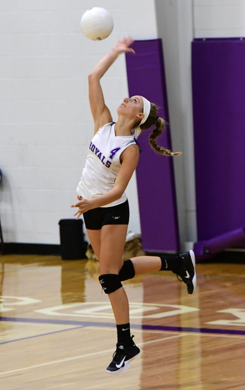 Delmarva Christian volleyball bags Mallards in ESIAC semifinal | Cape ...