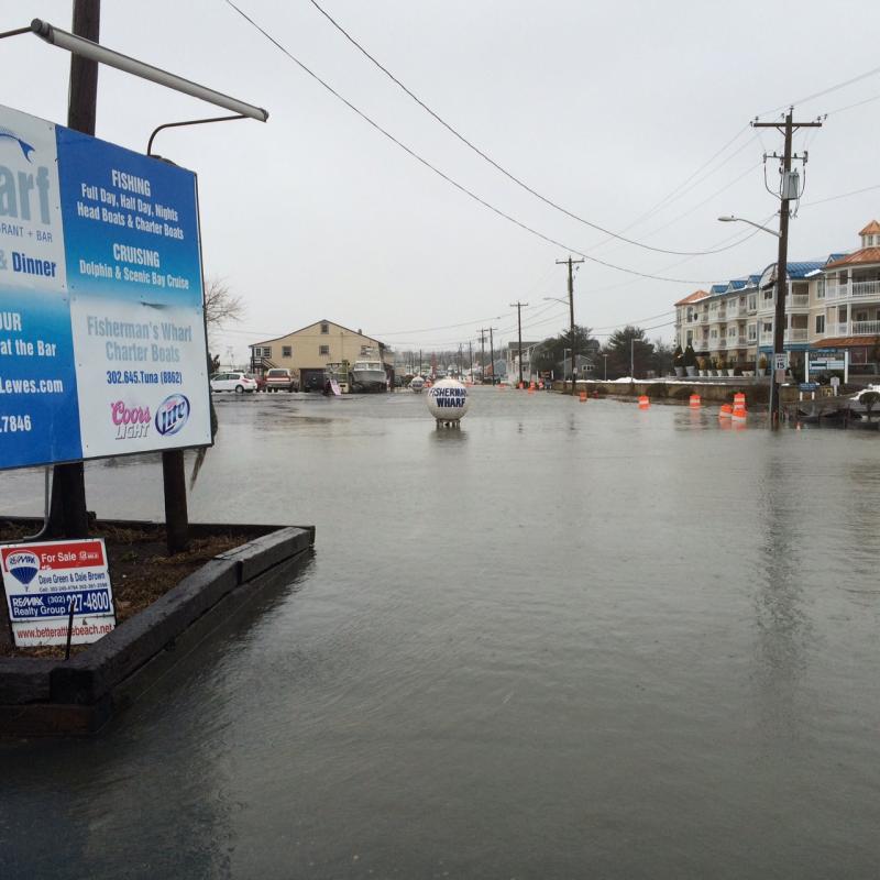 “Tidewater” explores sunny-day flooding in VA | Cape Gazette