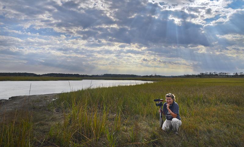 “Tidewater” explores sunny-day flooding in VA | Cape Gazette