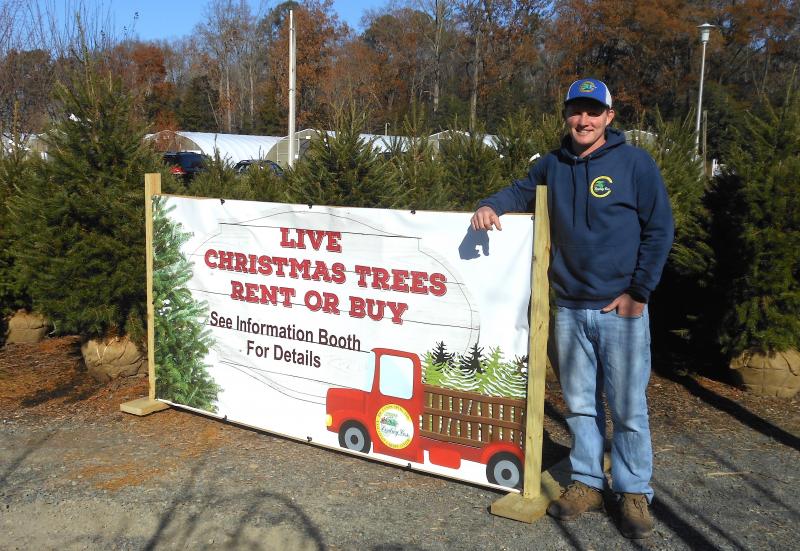 This year for Christmas – rent your tree | Cape Gazette