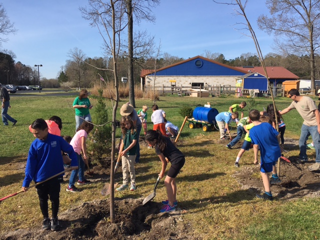 Urban And Community Forestry Grant Applications Due March 2 Cape Gazette