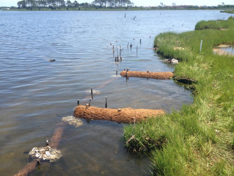 Local restaurant shell-recycling program aims to expand in 2018 | Cape ...