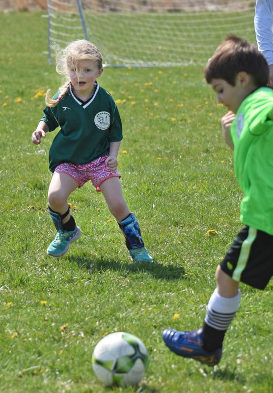 Henlopen Soccer Club kicks off spring season | Cape Gazette