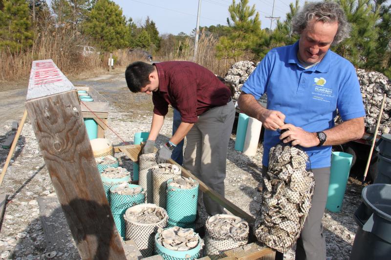 Local restaurant shell-recycling program aims to expand in 2018 | Cape ...
