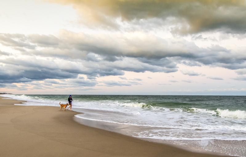 Winners announced for Southern Delaware Tourism photography contest ...