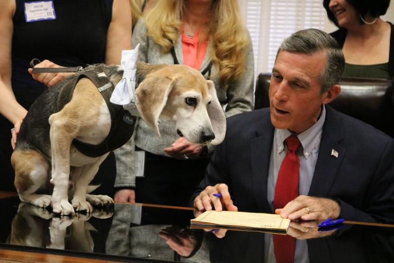 Beagle bill signed into law | Cape Gazette