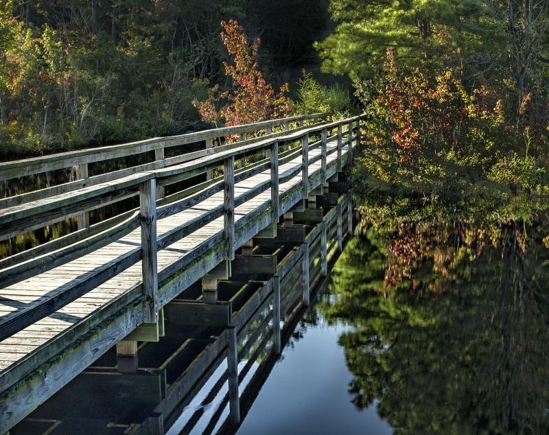Photo entries due Oct. 14 for Prime Hook Refuge contest | Cape Gazette