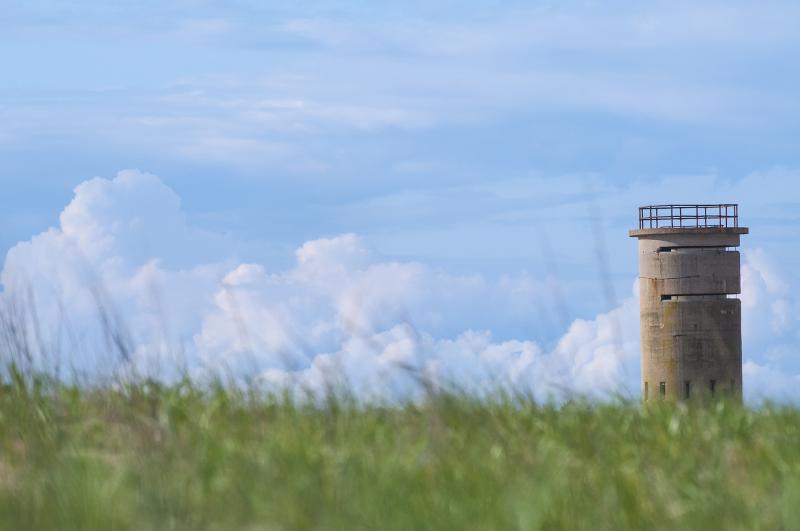 Deny Howeth in solo exhibition at Back Porch Café in Rehoboth | Cape ...