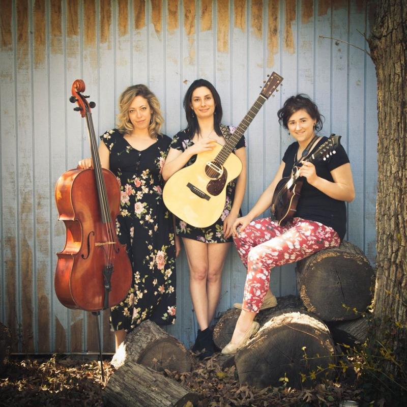 Ladybug Music Festival to expand to Milford Sept. 22 | Cape Gazette