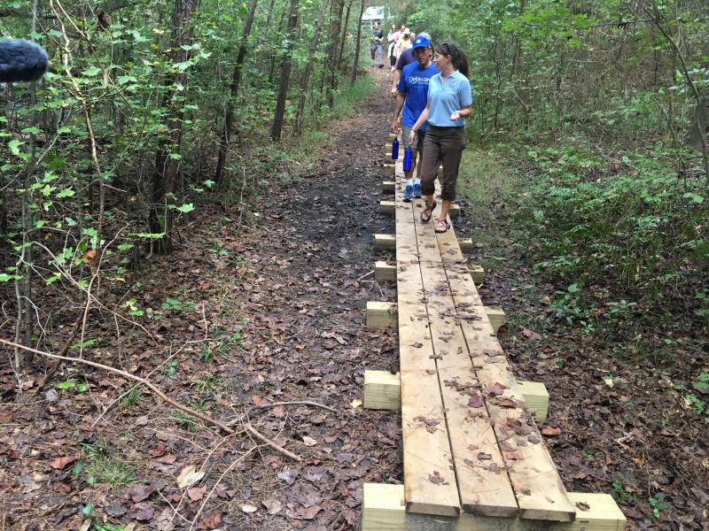 Carney kayaks Broadkill River to promote health, tourism | Cape Gazette