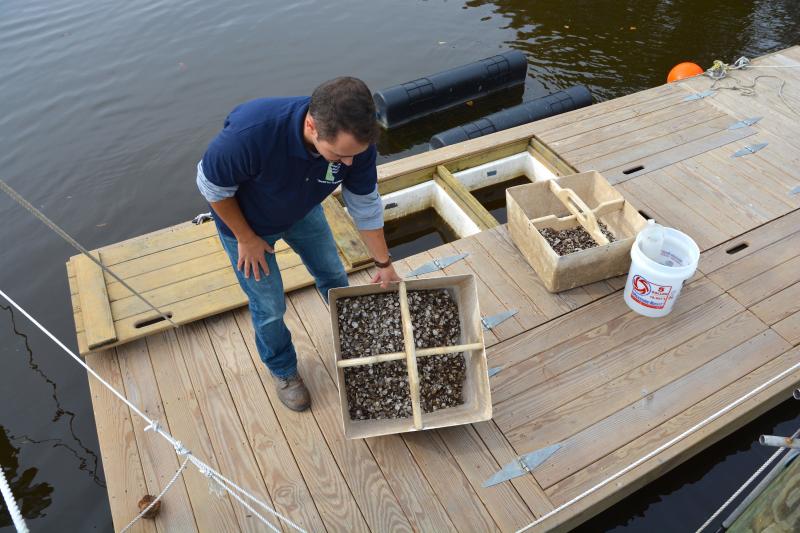 It’s a family affair for Delaware Cultured Seafood | Cape Gazette